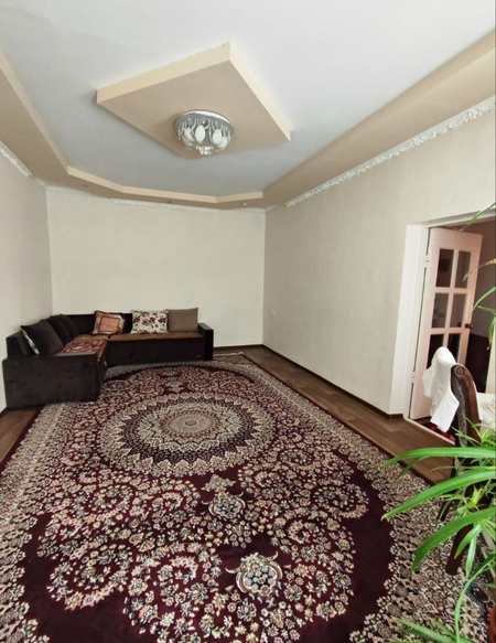 Холи тошми дан 5 км