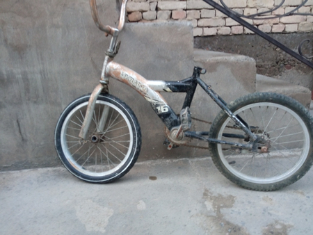 Velosepet 16 razmer rangi qora