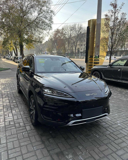 BYD song plus chempion 2024