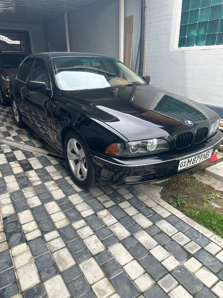 BMW e39, 3 литра, 1999 год. Без вложений