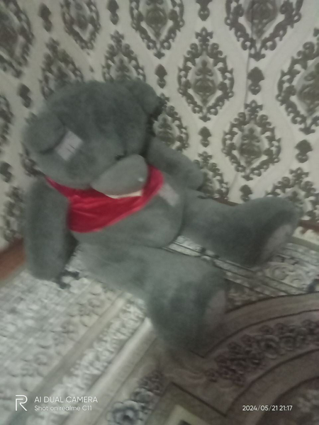 Teddy Ayiq Odam boyi bn barobar, narxini yana kelishamiz.