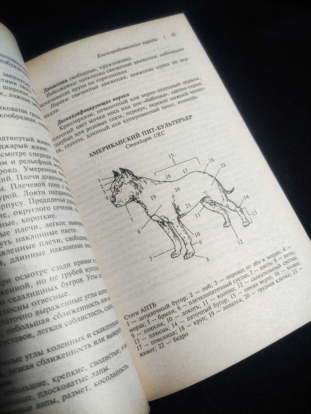 Книга - Американский Пит-Бультерьер. М.Дубров.
