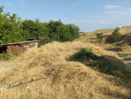 Охангарон тумани Болгали кишлоги