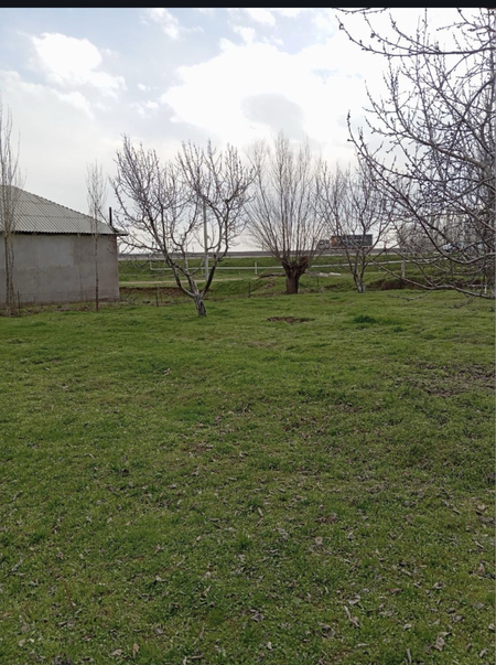 15 sotik yer sotladi, yonida maktab bor, hamma sharoit bor.