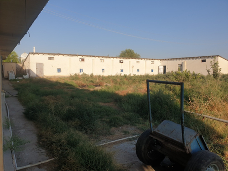 Sirdaryo shaharda 60 sotxli ferma sotiladi