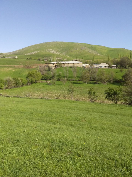 Ferma sotiladi srochna 40 sotix