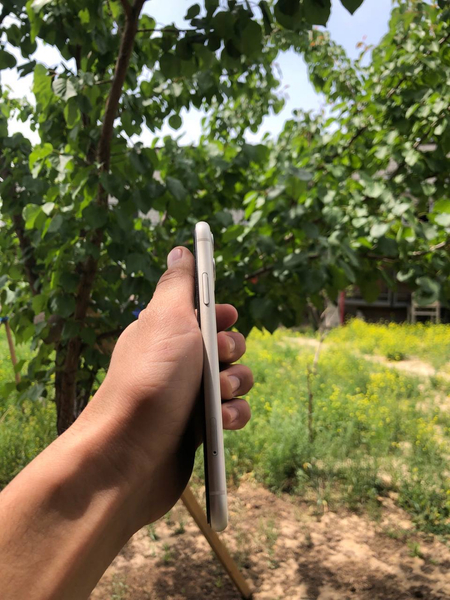 iPhone 11   128 gb