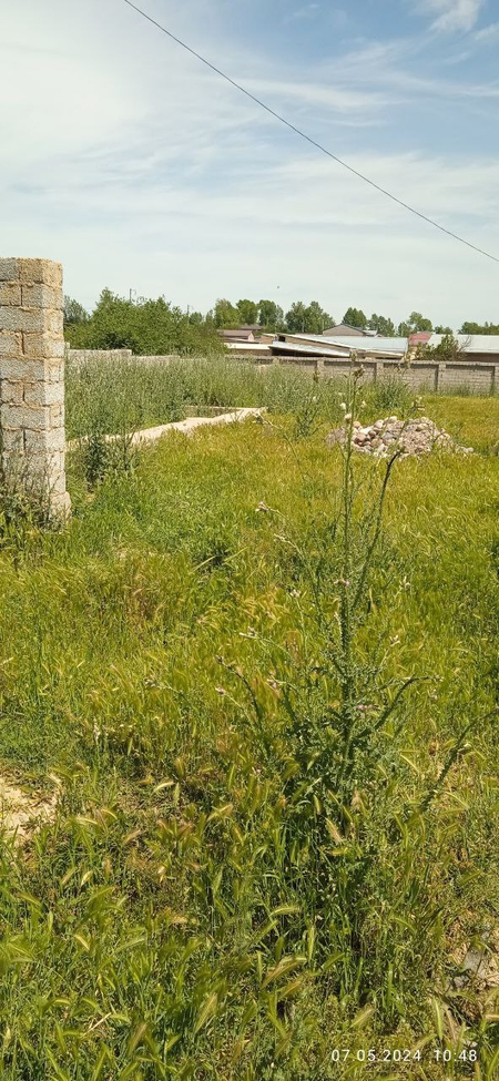 Srochniy uchastka sotiladi.
Ramadan nasosniyda 8 sotix uchastka sotila