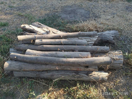 Дерево для красивой мебели из ореха.