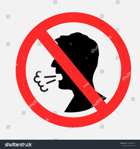 Zuhre Ana паста из сосновых шишек