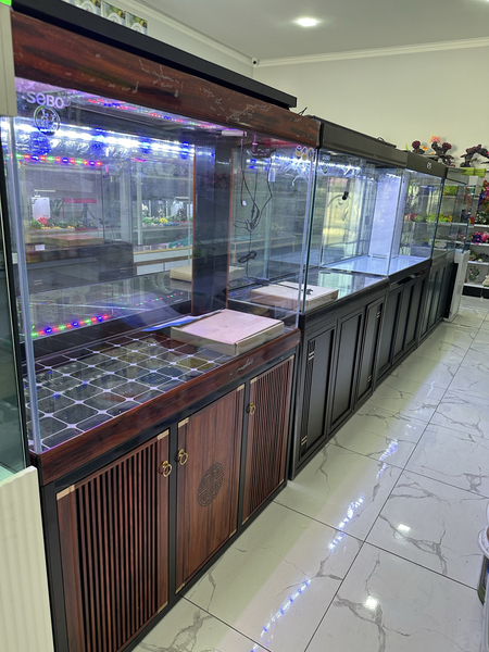 Xitoy zavadskoy akvariumlar Assartiment