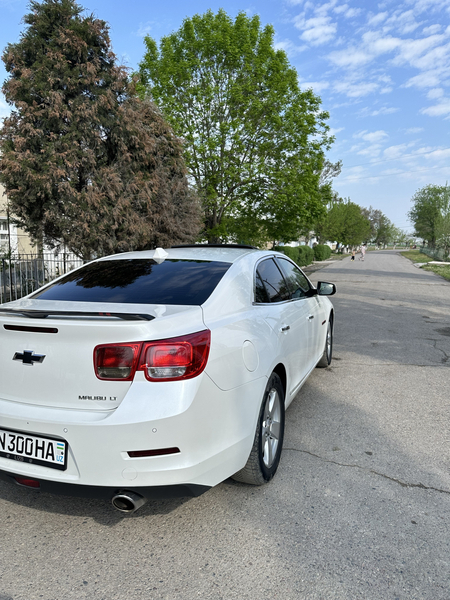 Malibu 1 2-pozitsiya
