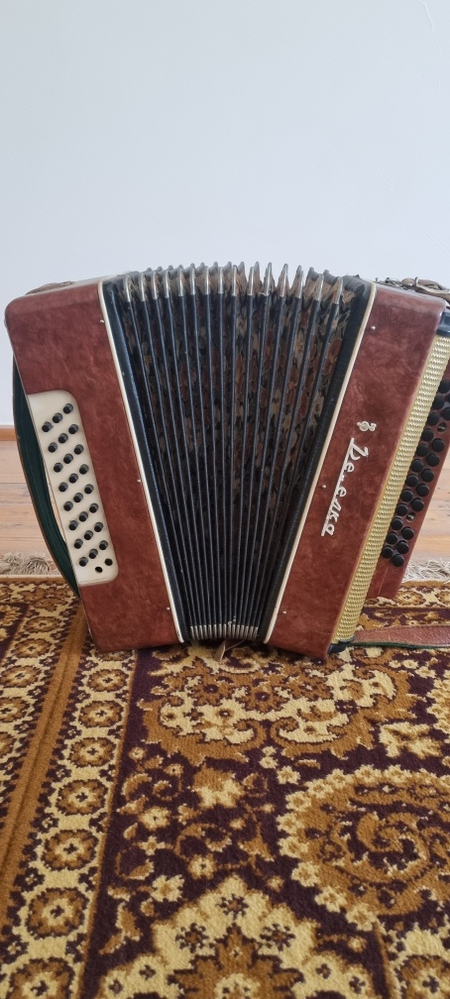 Akardion sotiladi