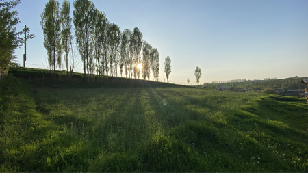 Участка 12соток
