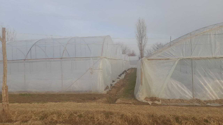 Hovli Uy Toshkent viloyat Chinoz tumani Sutbuloq MFY