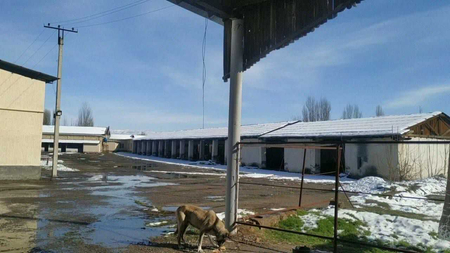 Продаётся 1,1 га. производственная база.