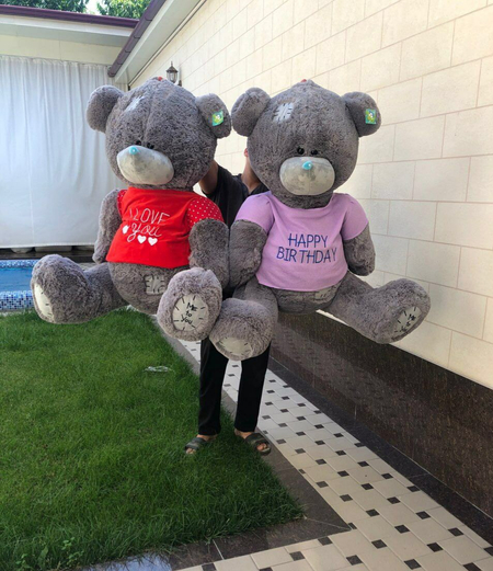 Teddi Teddy Teddiy yangi yilga sovg'a un