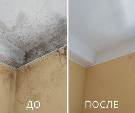 Удоляю недоброжелательную плесень и грибок в течении 2 часов 
без вред