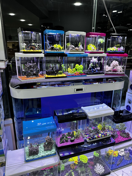 Xitoy Akvariumlar 10 litrdan 140 litrgacha
