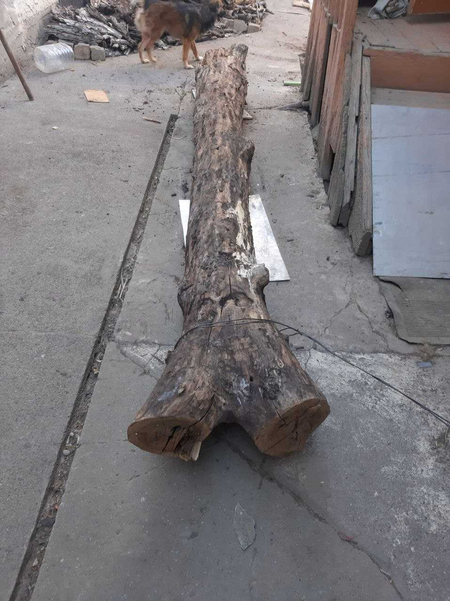 Дерево Орех Бревна