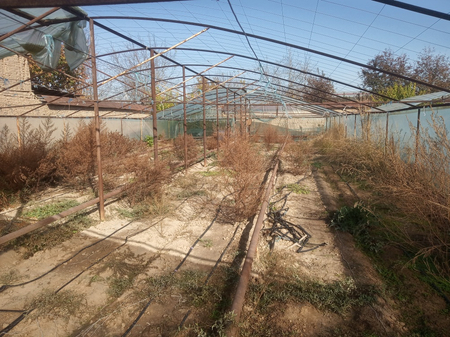 Tepilitsa sotiladi 3 sotix