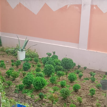 Shamshodlar sotiladi
