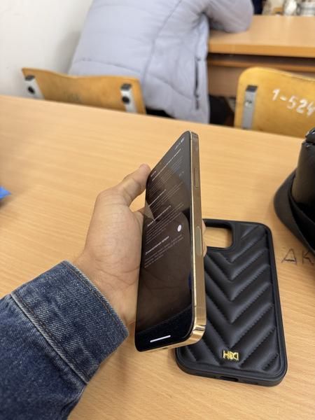 Iphone 13 pro max 256 gb gold