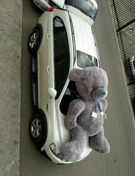 Teddy va boshqa yumshoq oʻyinchoqlar