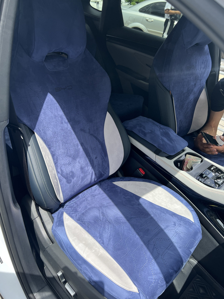 Byd chempion uchun chexol