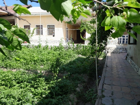 Срочно.Кармана Янги арик МФЙ(Арґун)