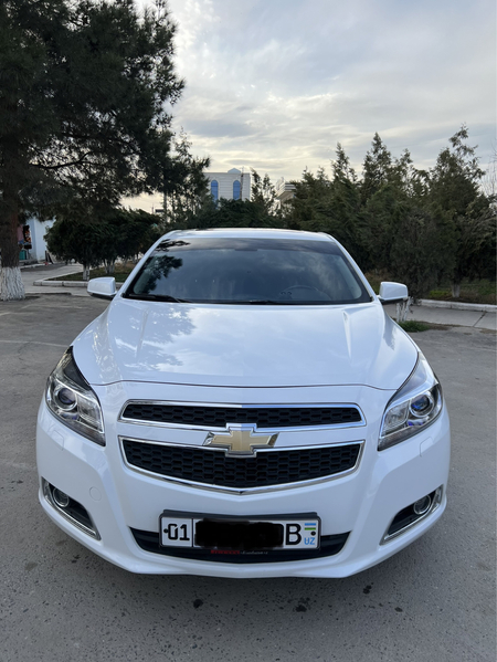Malibu 1 3 позиция идеал