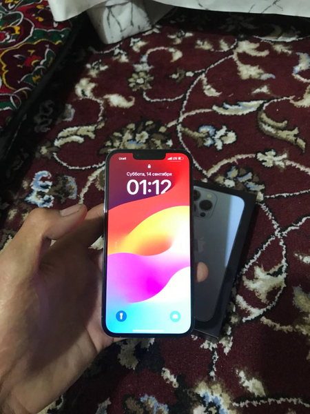 Iphone 13 pro ideal