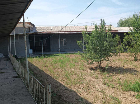 Tirsakobod(Dombiraobod qurilish mollari) mahallasida hovli sotiladi