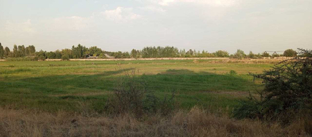 Ferma srochna sotiladi