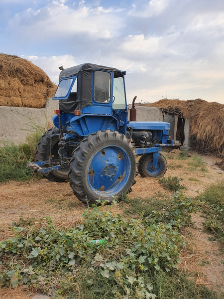 TTZ 28 holati yaxshi