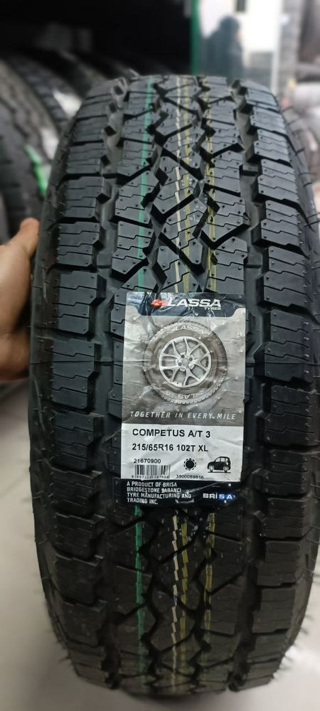 Lassa competus A/T 3