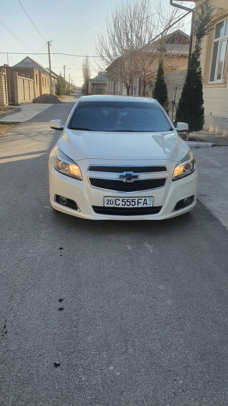 Malibu1 3 pozitsiya mator 2.4