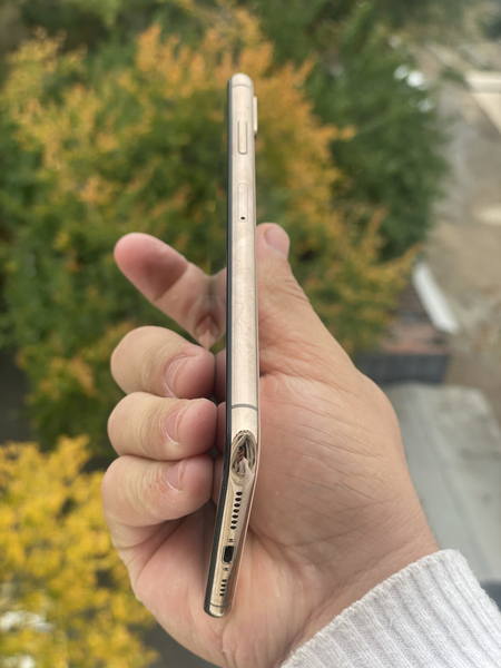 Xs max ideal sotiladi