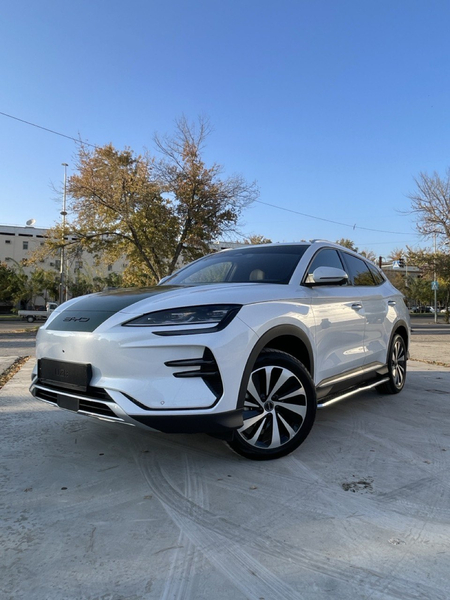 BYD chempion электро