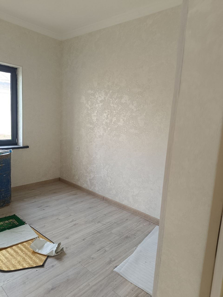 Toshkent tumani kok tere novoyi