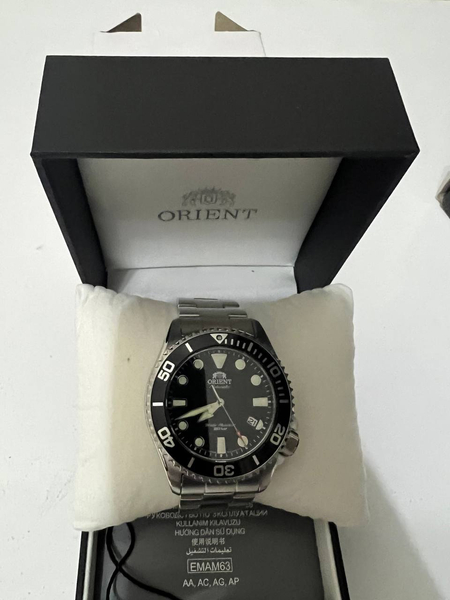 Orient Triton diver