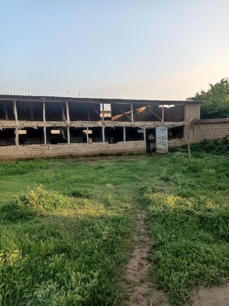Hovli sotiladi pustoy