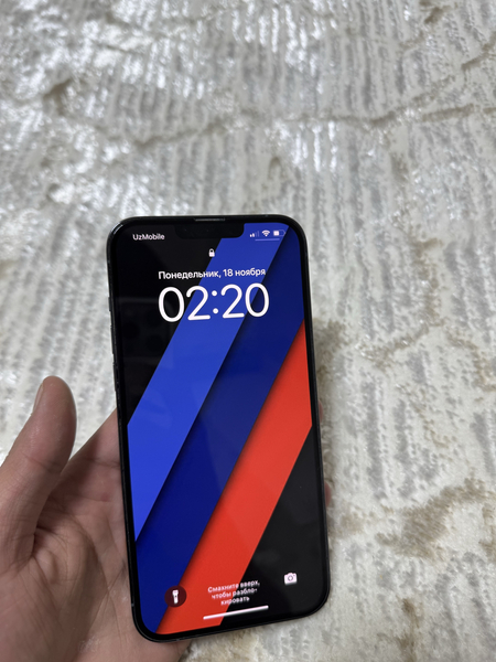 Iphone 13 Pro max dual sim