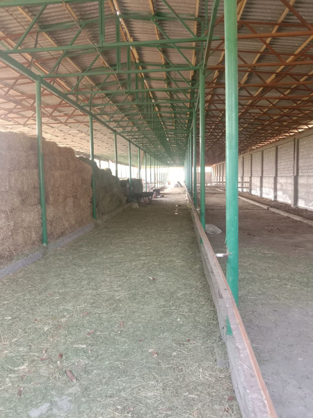 Продается большая ферма.