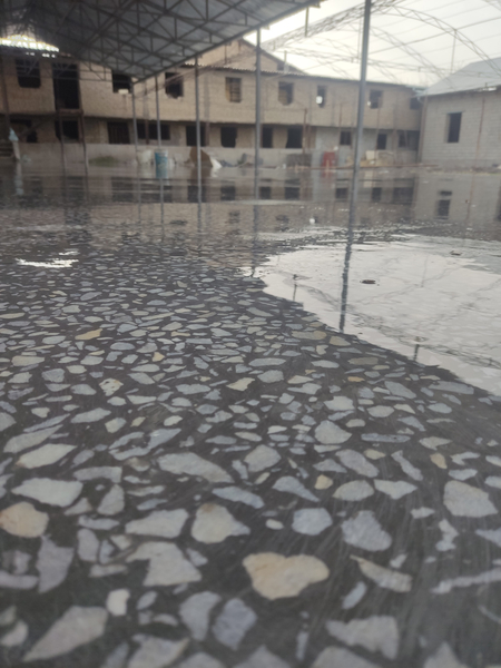 Mazayka bezposrednik garantiyasi bilan tez sifatli va arzon narxlarda