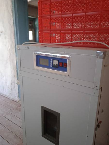 Инкубатр сотилади 220W
