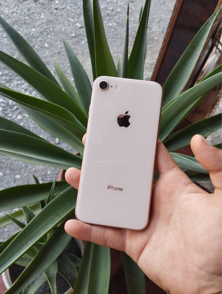 iphone  8  256 talik yomcis 93 hamma yogi radnoy hic narsasi alishmaga