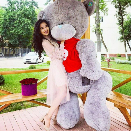 Teddy va boshqa yumshoq oʻyinchoqlar