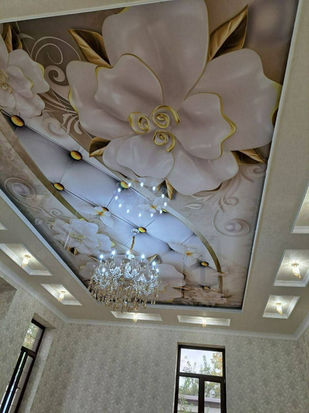 Natijnoy patolok Tashkent