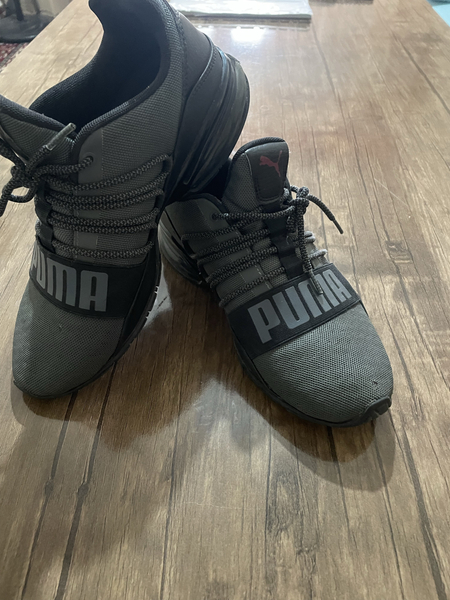 Puma orginal air max